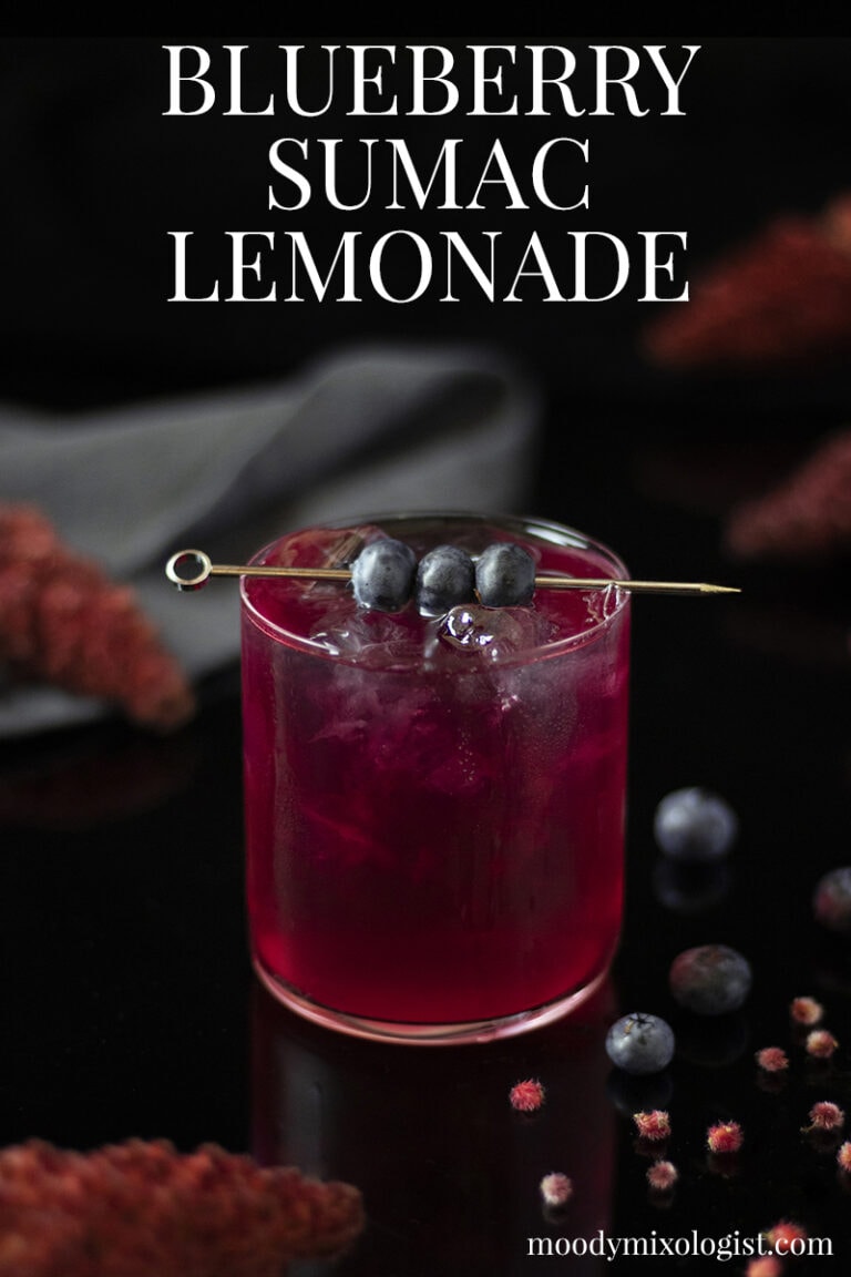 Foraged Cocktails: Sumac Berry Lemonade - Moody Mixologist