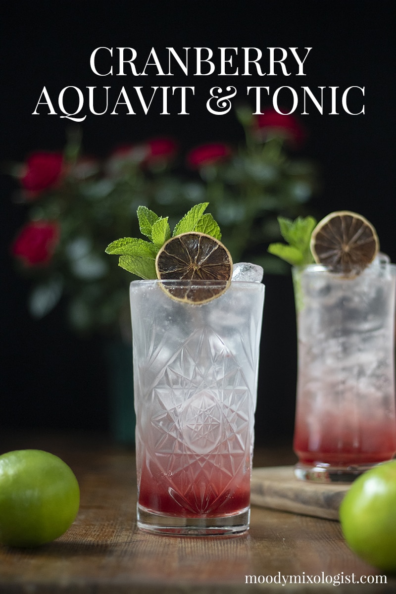 Cranberry Aquavit & Tonic - Moody Mixologist