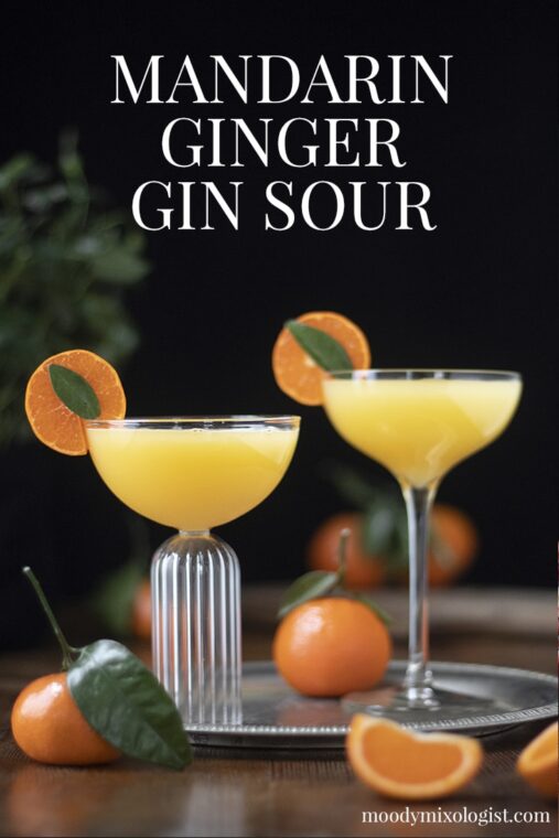 Mandarin Ginger Gin Sour - Moody Mixologist