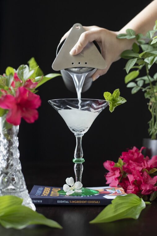 Spa Day - a Vodka Cocktail with Lemon and Mint - Moody Mixologist