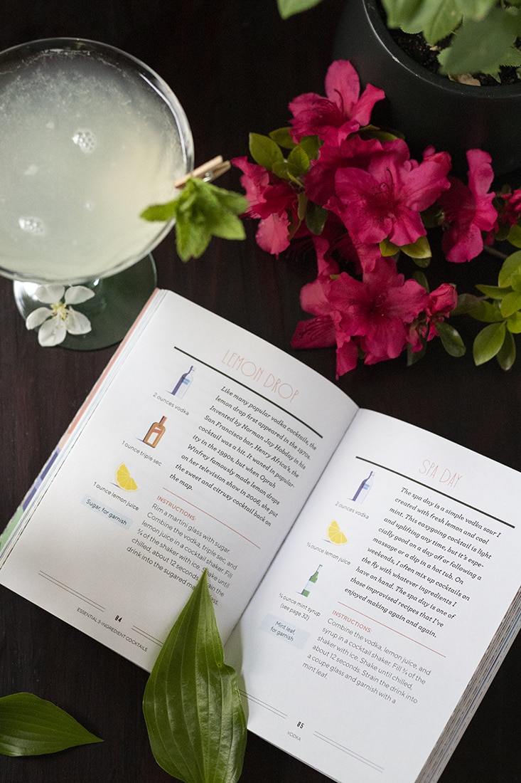 Spa Day - a Vodka Cocktail with Lemon and Mint - Moody Mixologist