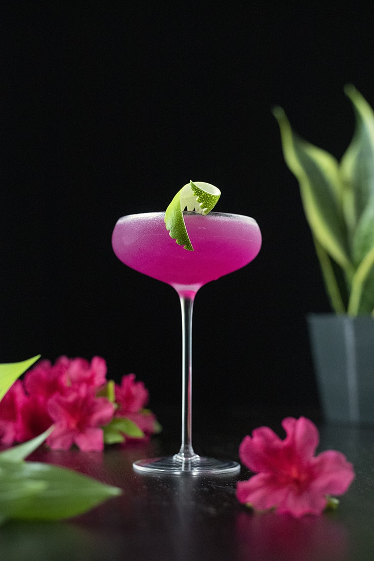 Cactus Flower (Mezcal, Melon, and Ginger Cocktail) - Moody Mixologist