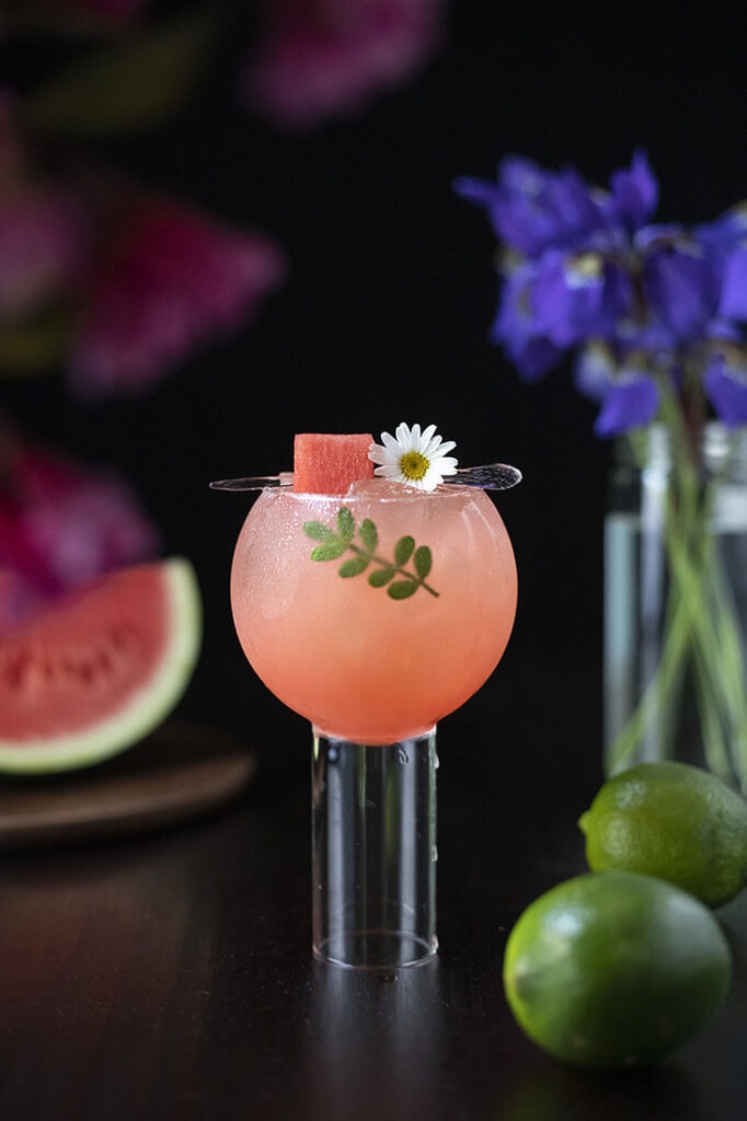 Strawberry Watermelon Gin Cooler - Moody Mixologist