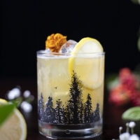 Gold Rush (Easy Bourbon Cocktail Recipe) - Moody Mixologist