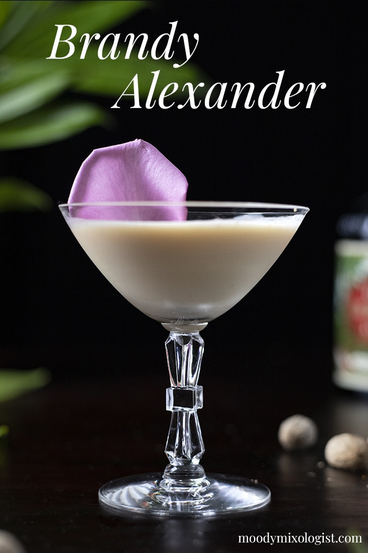 Brandy Alexander Cocktail Recipe and Pro Tips - Moody Mixologist