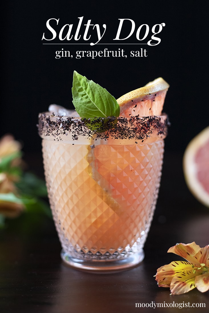 Salty Dog - Moody Mixologist