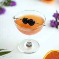 Ward Eight - Boston's Classic Cocktail - Moody Mixologist