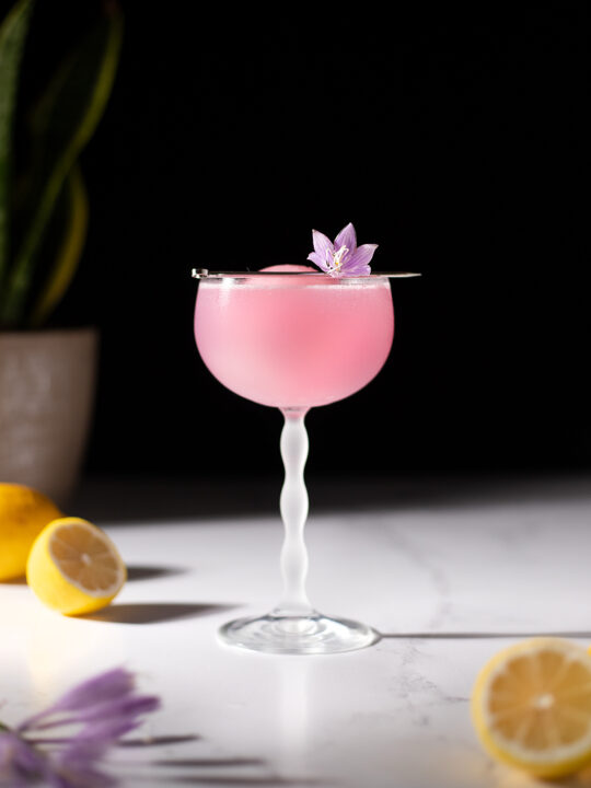 Classic Rye Manhattan Cocktail - Moody Mixologist