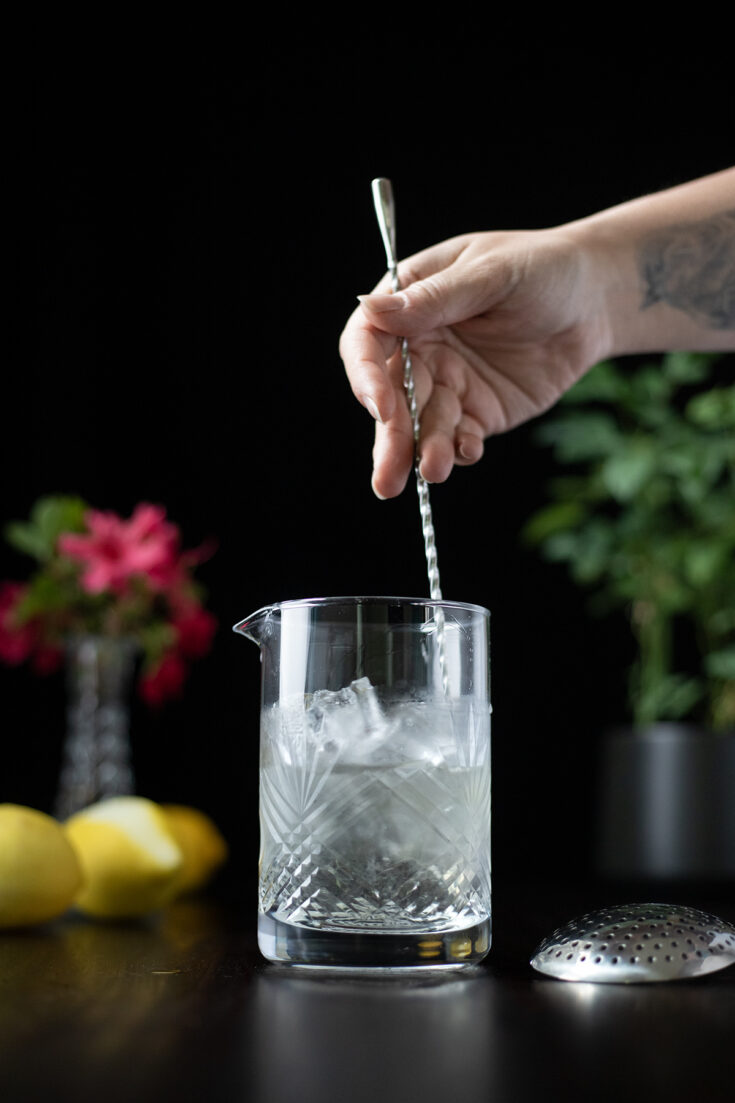 Guide to the Classic Martini - Moody Mixologist