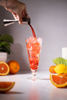 Garibaldi (Campari and Orange) Recipe - Moody Mixologist