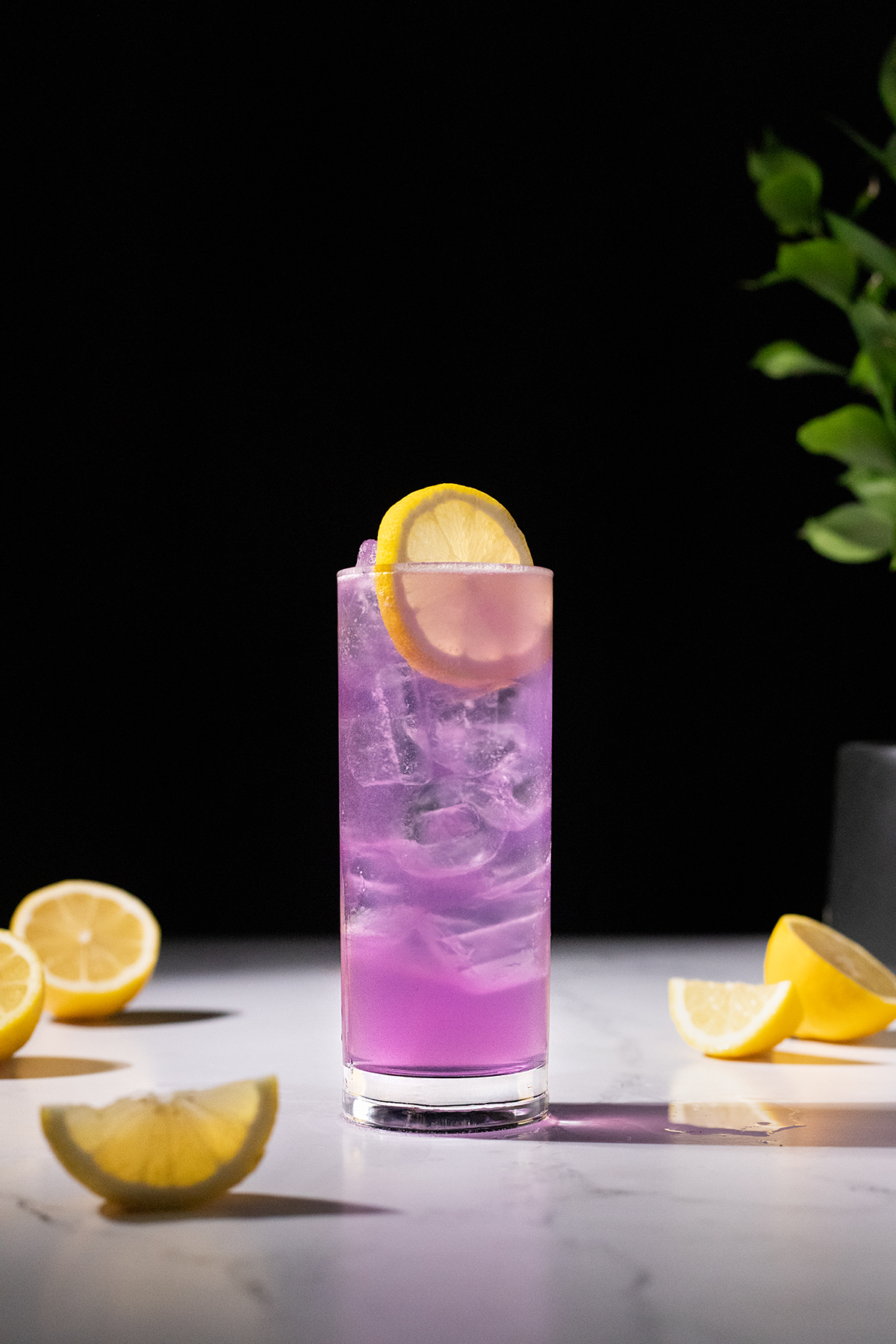 Guide to Gin (and Gin Cocktails) - Moody Mixologist