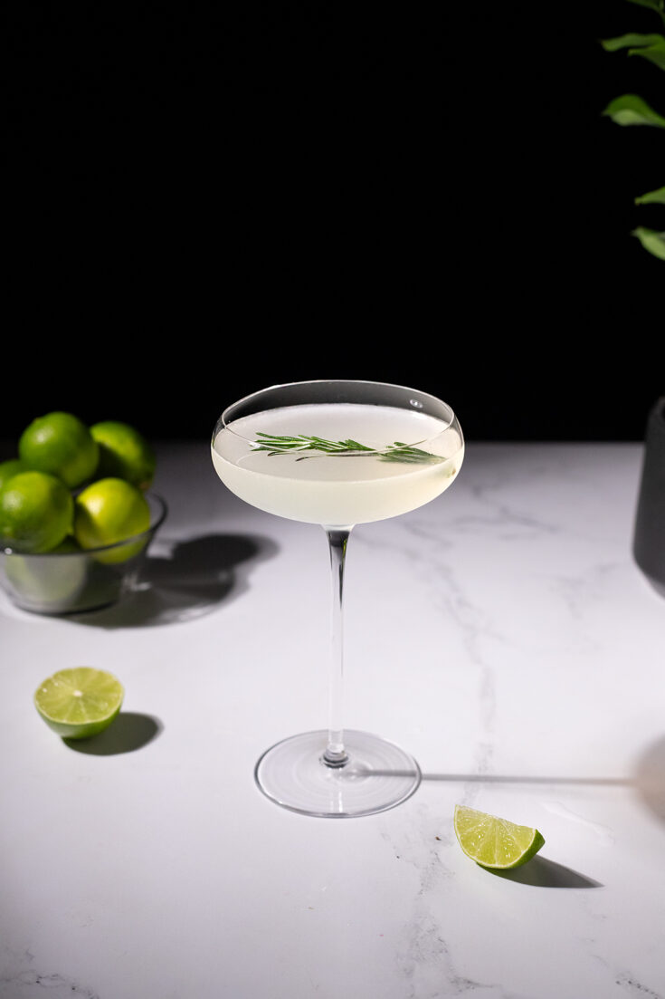 Guide to Gin (and Gin Cocktails) - Moody Mixologist