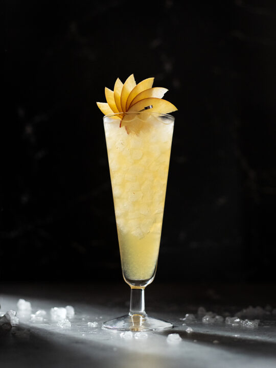 Birch Martini Recipe - Moody Mixologist