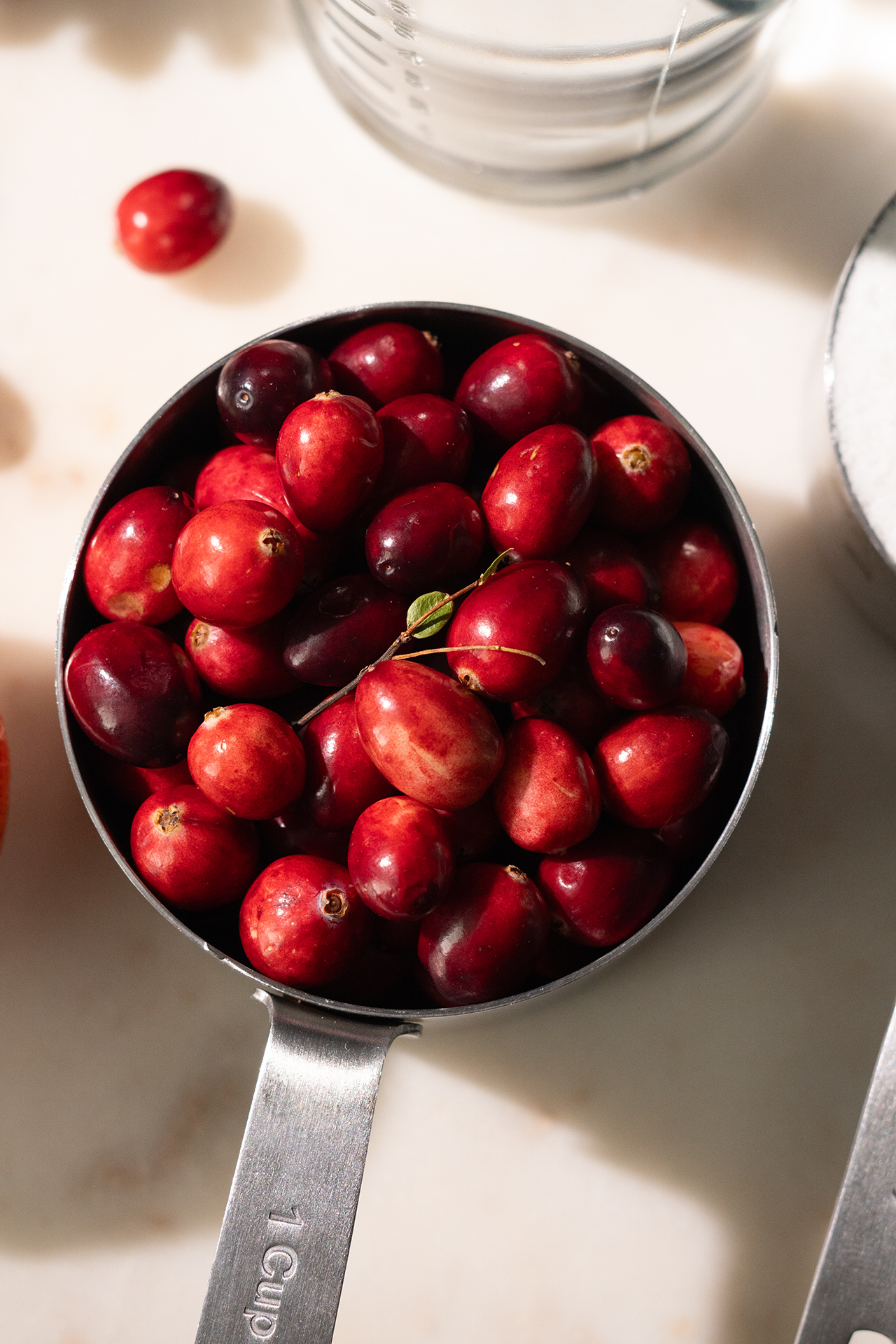 Cranberry Simple Syrup Recipe - Moody Mixologist
